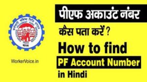 PF Account Number Kaise Pata Kare, जानें 7 बिलकुल आसान तरीका